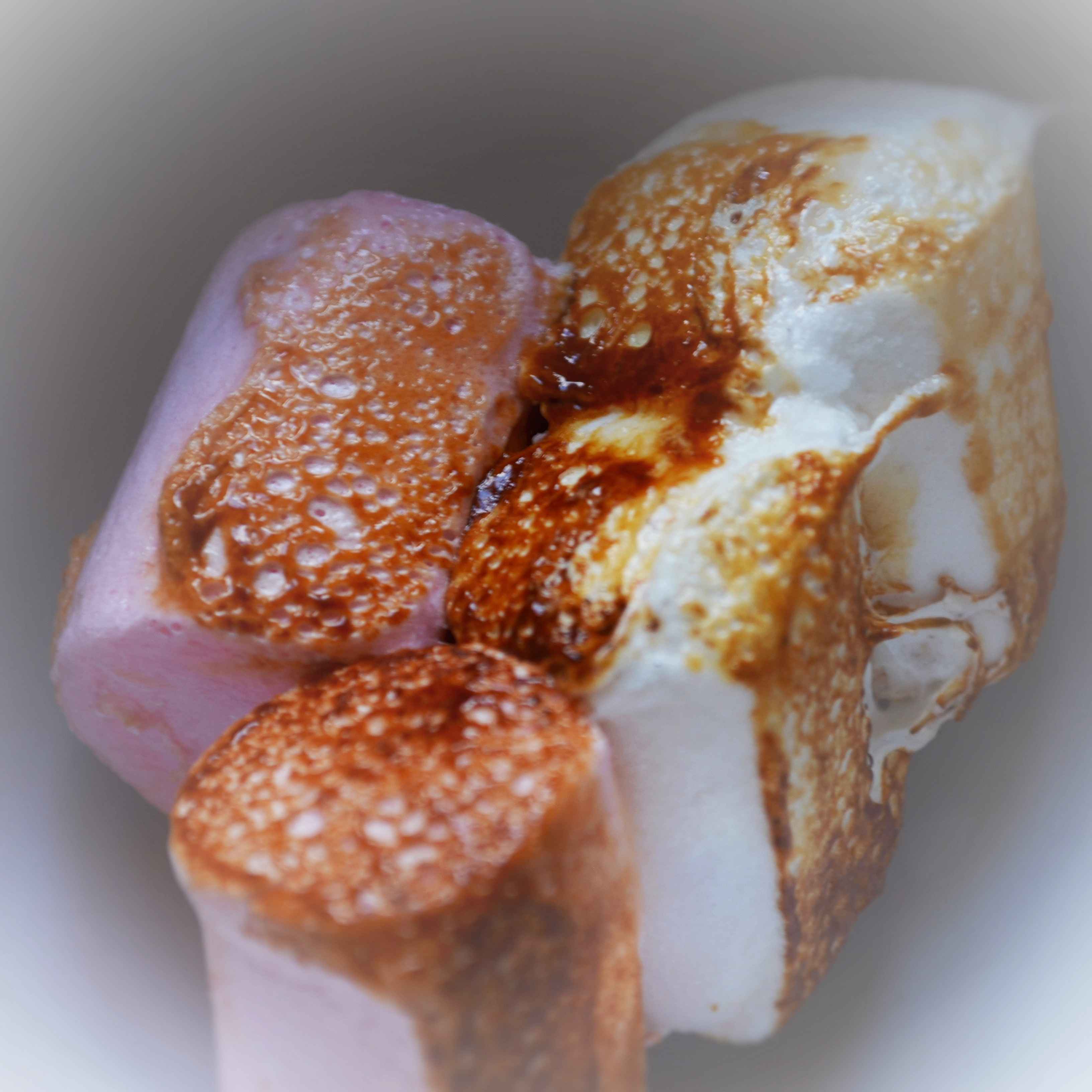 Comment griller parfaitement ses chamallows ? — LaToileScoute